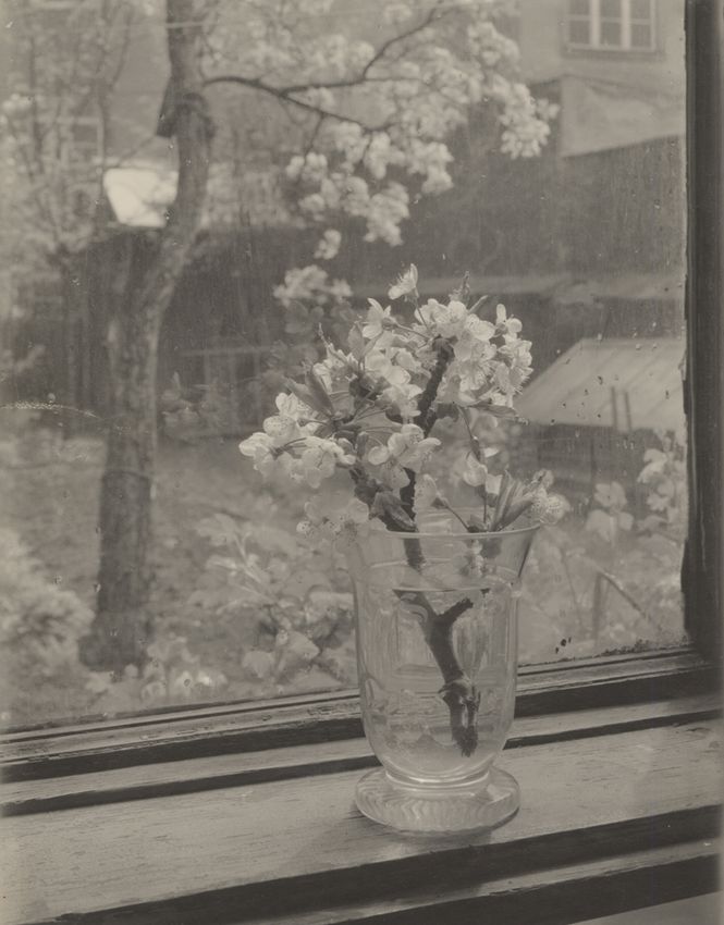 Josef Sudek's Art For Sale, Exhibitions & Biography | Ocula Artist