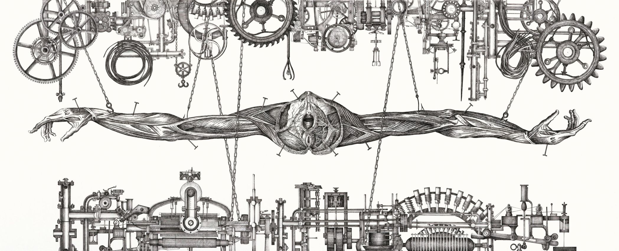 Angela Su's Art For Sale, Exhibitions & Biography | Ocula Artist