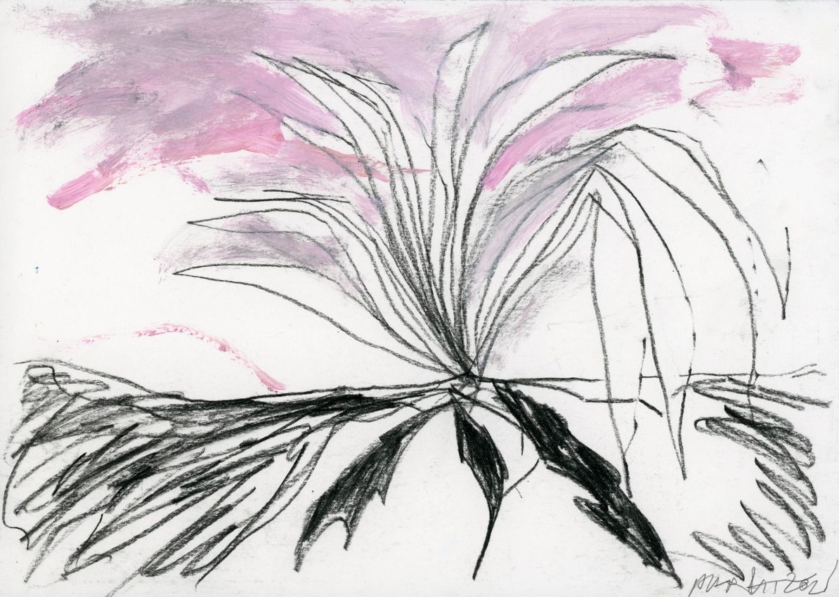 Tae Parvit's Art For Sale, Exhibitions & Biography | Ocula Artist