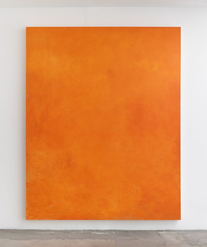Judy Ledgerwood's Art For Sale, Exhibitions & Biography | Ocula Artist
