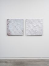 Elizabeth Thomson's Art For Sale, Exhibitions & Biography | Ocula Artist