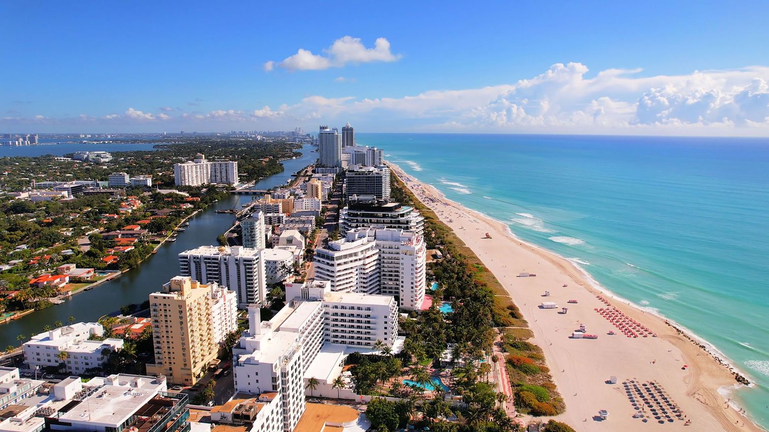 Art Exhibitions in Miami during 2026 / 2027 | Ocula
