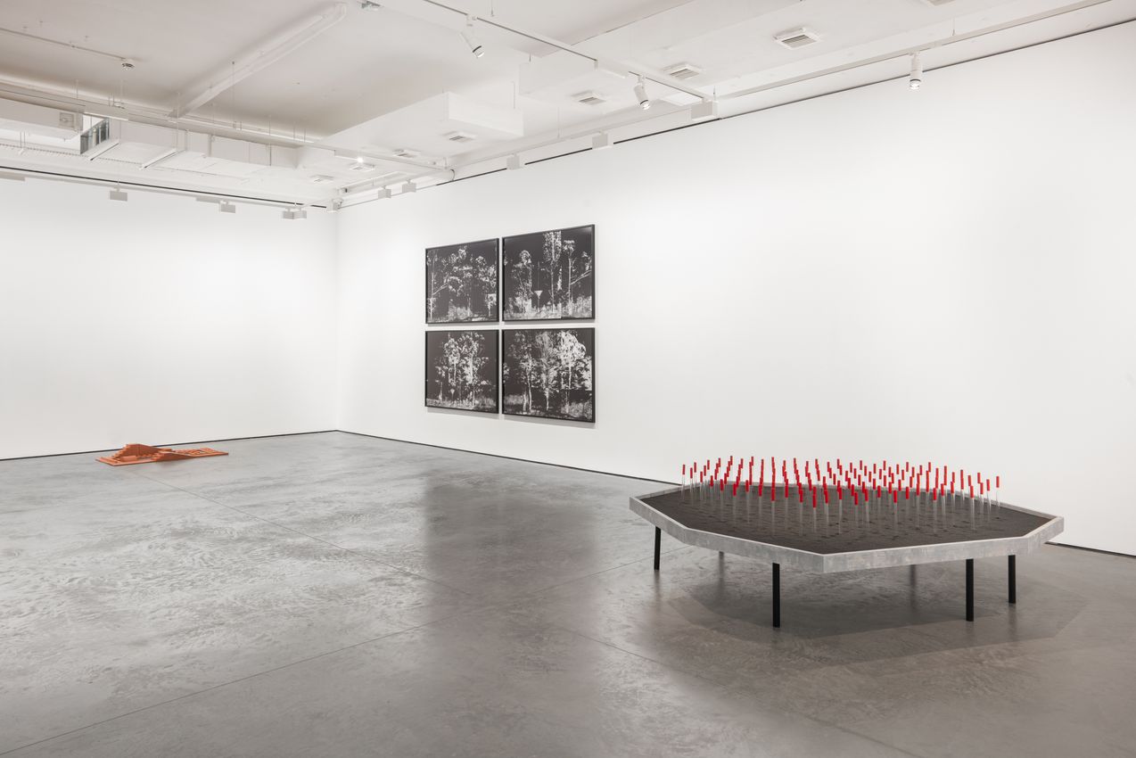 Kiluanji Kia Henda, 'A Healing Path for Phantom Pain' at Goodman ...