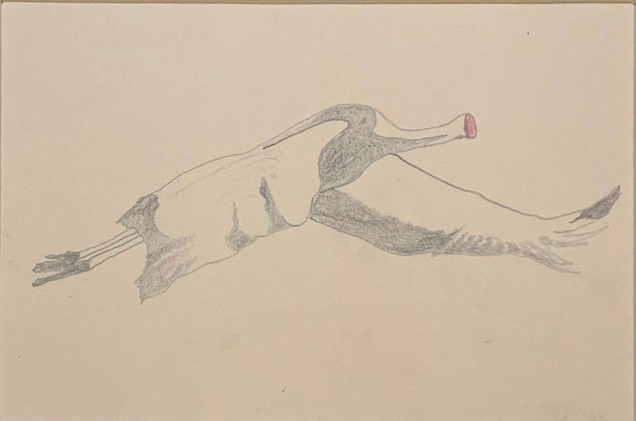 Lim Nosik's Art For Sale, Exhibitions & Biography | Ocula Artist