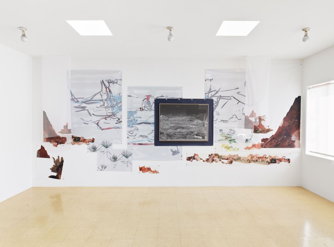 Petra Cortright, 'Predator Swamping' at 1301PE, Los Angeles, United ...