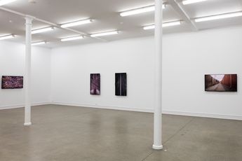 Daniel Crooks' Art For Sale, Exhibitions & Biography | Ocula Artist