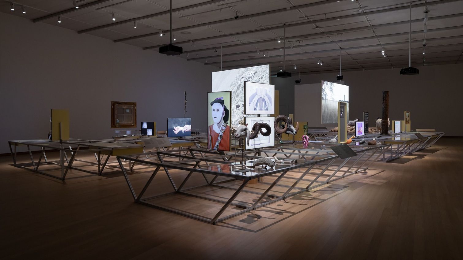 Formafantasma, 'Oltre Terra' at Stedelijk Museum, Amsterdam ...