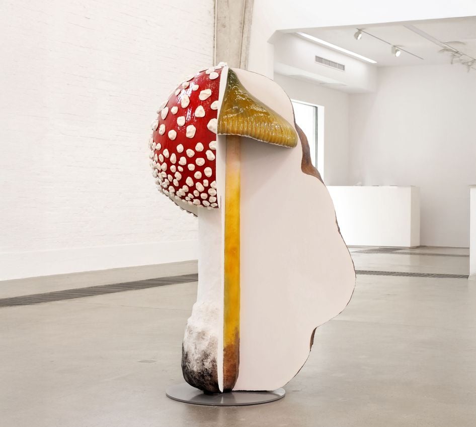 Carsten Höller's Art For Sale, Exhibitions & Biography | Ocula Artist