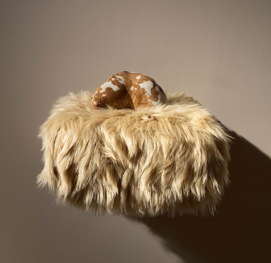 Jes Fan's Art For Sale, Exhibitions & Biography | Ocula Artist