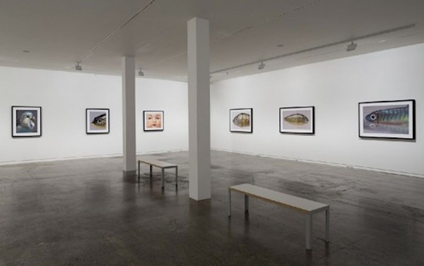 Boyd Webb, 'From the Cusp' at Two Rooms, Auckland, New Zealand on 6 Jun ...