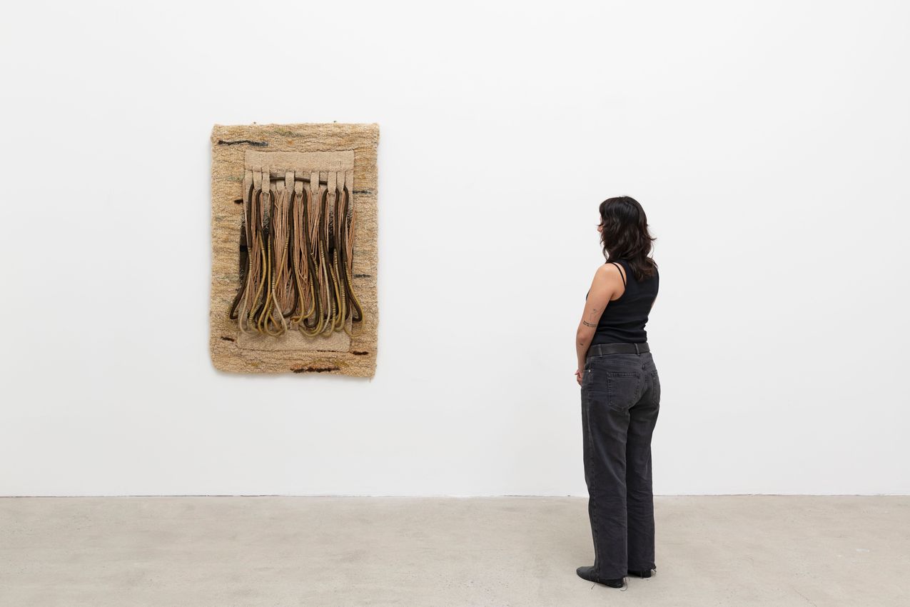 Norberto Nicola's Art For Sale, Exhibitions & Biography | Ocula Artist