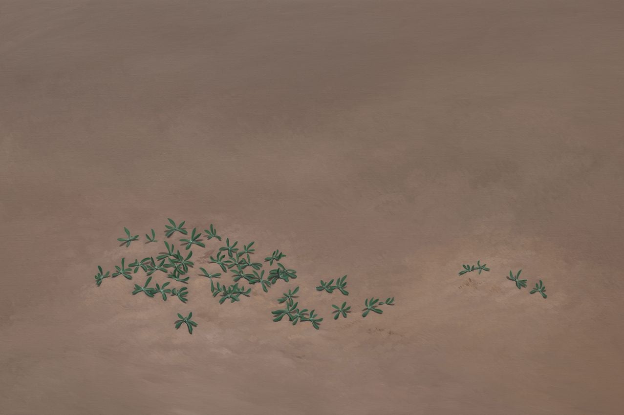 Yan Bing's Art For Sale, Exhibitions & Biography | Ocula Artist