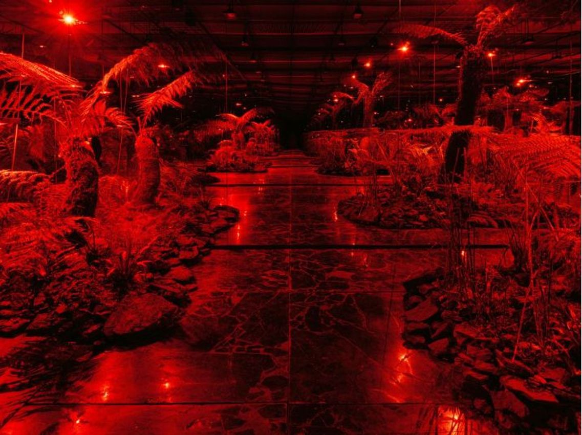 Julian Charrière, 'Panchronic Gardens' at Perrotin, Paris Marais ...