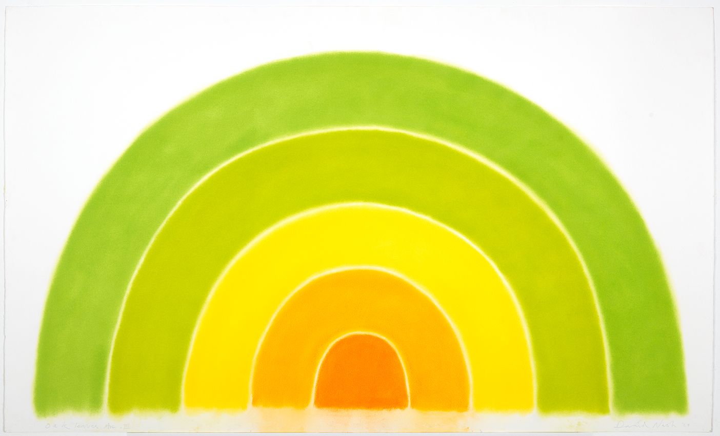 David Nash, '45 Years of Drawing' at Galerie Lelong, 38 Avenue Matignon ...