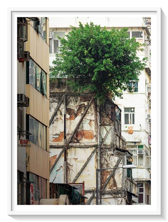 23 Temple Street, Hong Kong, 2018 by Romain Jacquet-Lagrèze | Ocula