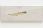 Wilma Martins' Art For Sale, Exhibitions & Biography | Ocula Artist
