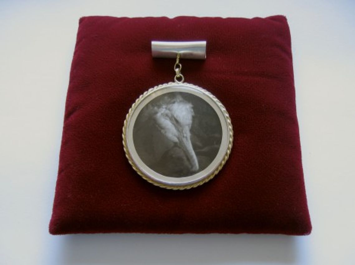 Areta Wilkinson's Art For Sale, Exhibitions & Biography | Ocula Artist