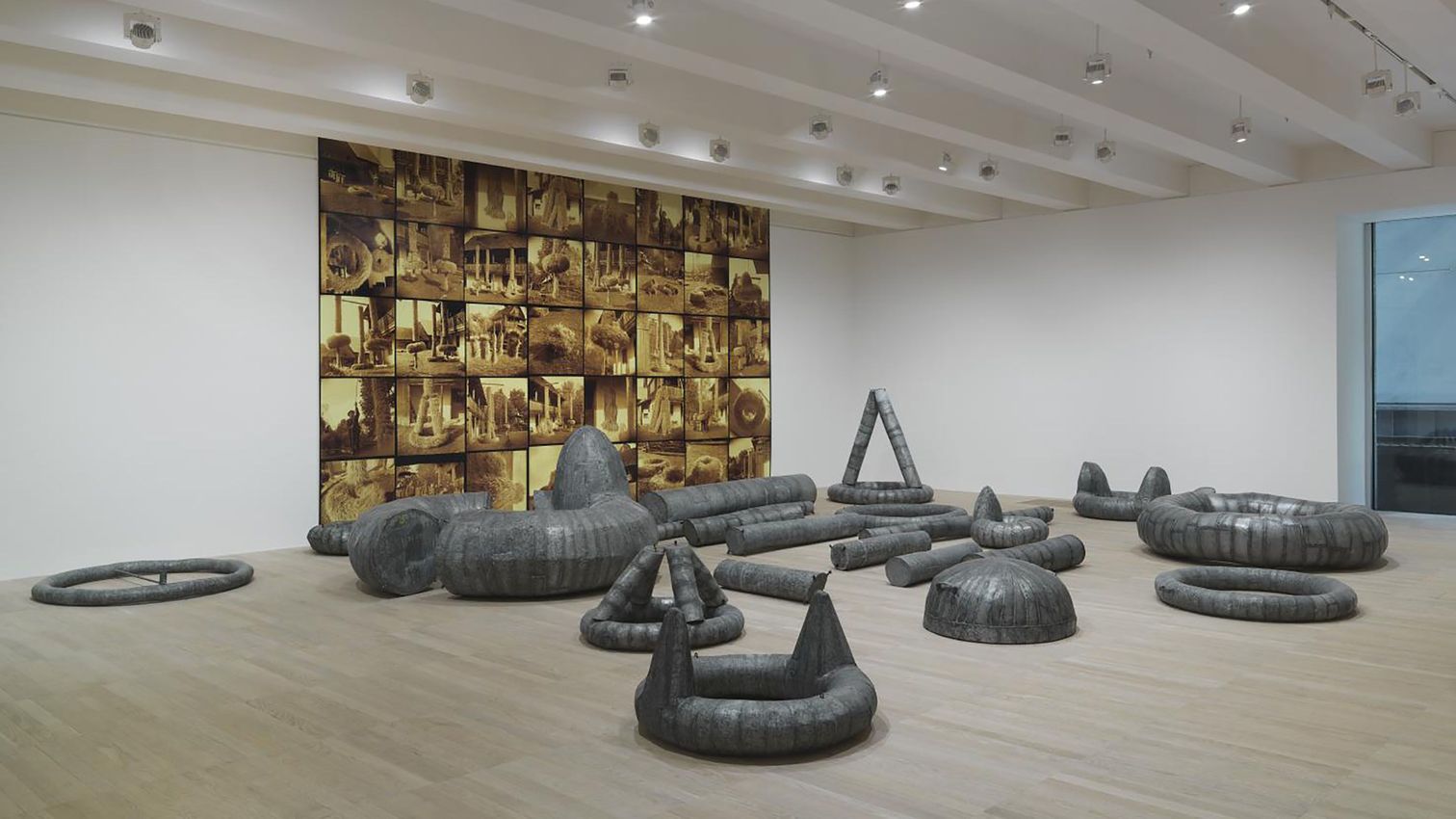 Ana Lupas' Art For Sale, Exhibitions & Biography | Ocula Artist