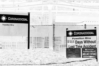 Art Exhibitions in New York during 2025 / 2026 | Ocula