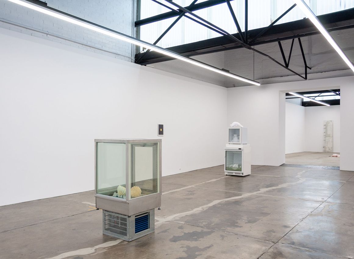 Alicia Frankovich, 'Spaces of Life' at 1301SW, Melbourne, Australia on ...