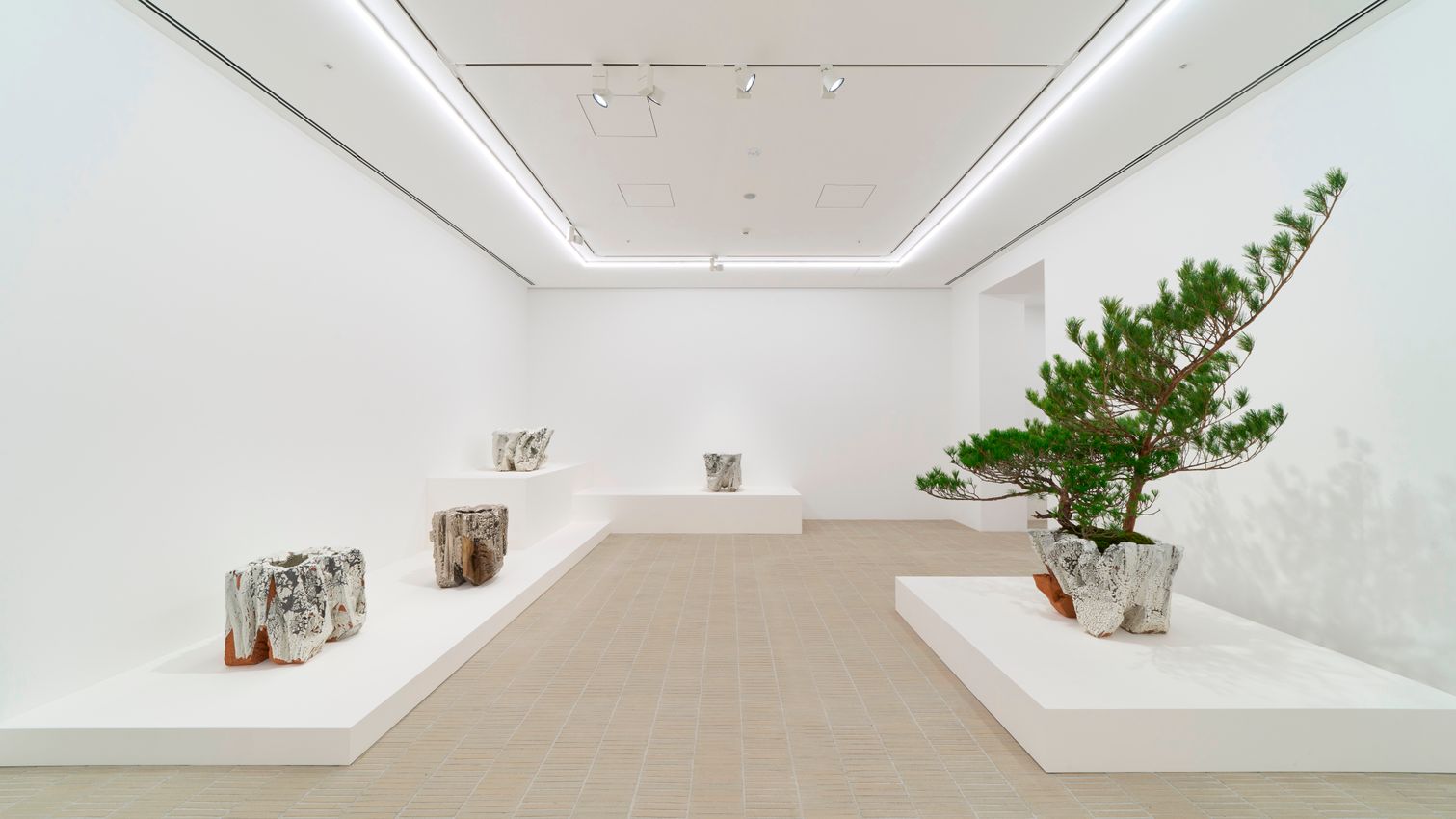 KOSAKU KANECHIKA | Ocula