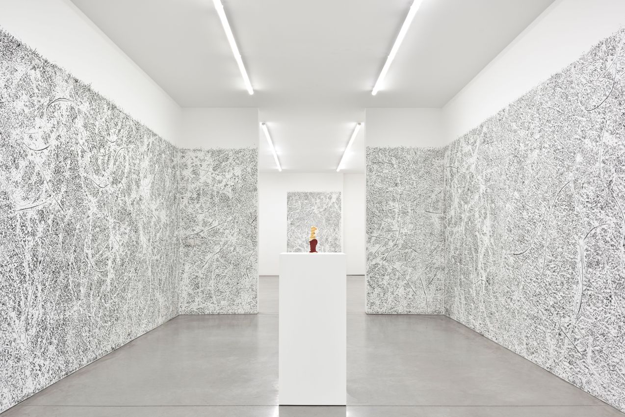 Giuseppe Penone, 'envelopper la Terre' at Marian Goodman Gallery, 66 ...