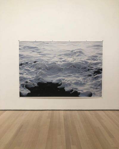 Wolfgang Tillmans Captures Candid Moments in MoMA Retrospective | Ocula