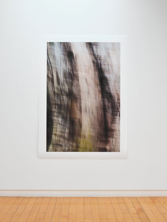 Ratanui #8, Tarapuruhi, Whanganui, 2021 by Anne Noble, Pigment on paper ...