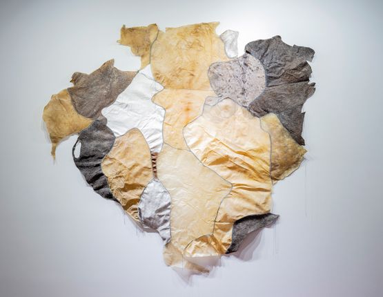 AURICA (supercontinent), 2024 by Yohan Han | Ocula