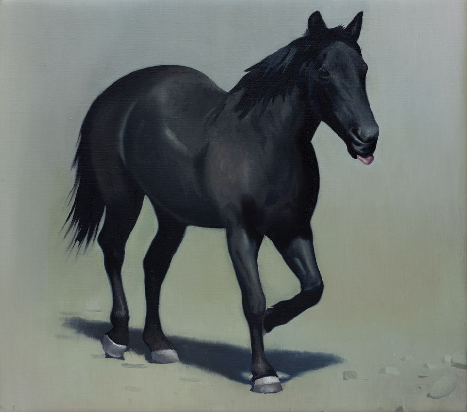 Simon Kennedy's Art For Sale, Exhibitions & Biography | Ocula Artist