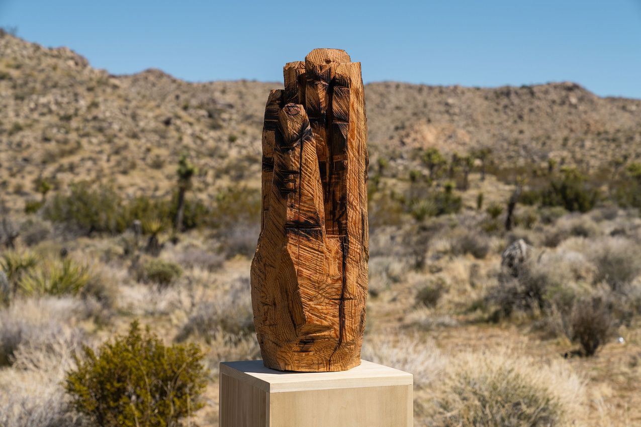 Ryan Schneider's Art For Sale, Exhibitions & Biography | Ocula Artist