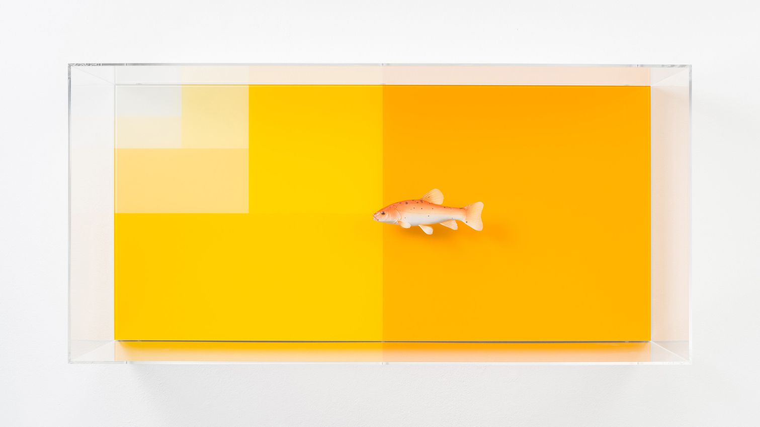 Carsten Höller, 'Halves' at Gagosian, Basel, Switzerland on 29 Aug–27 ...