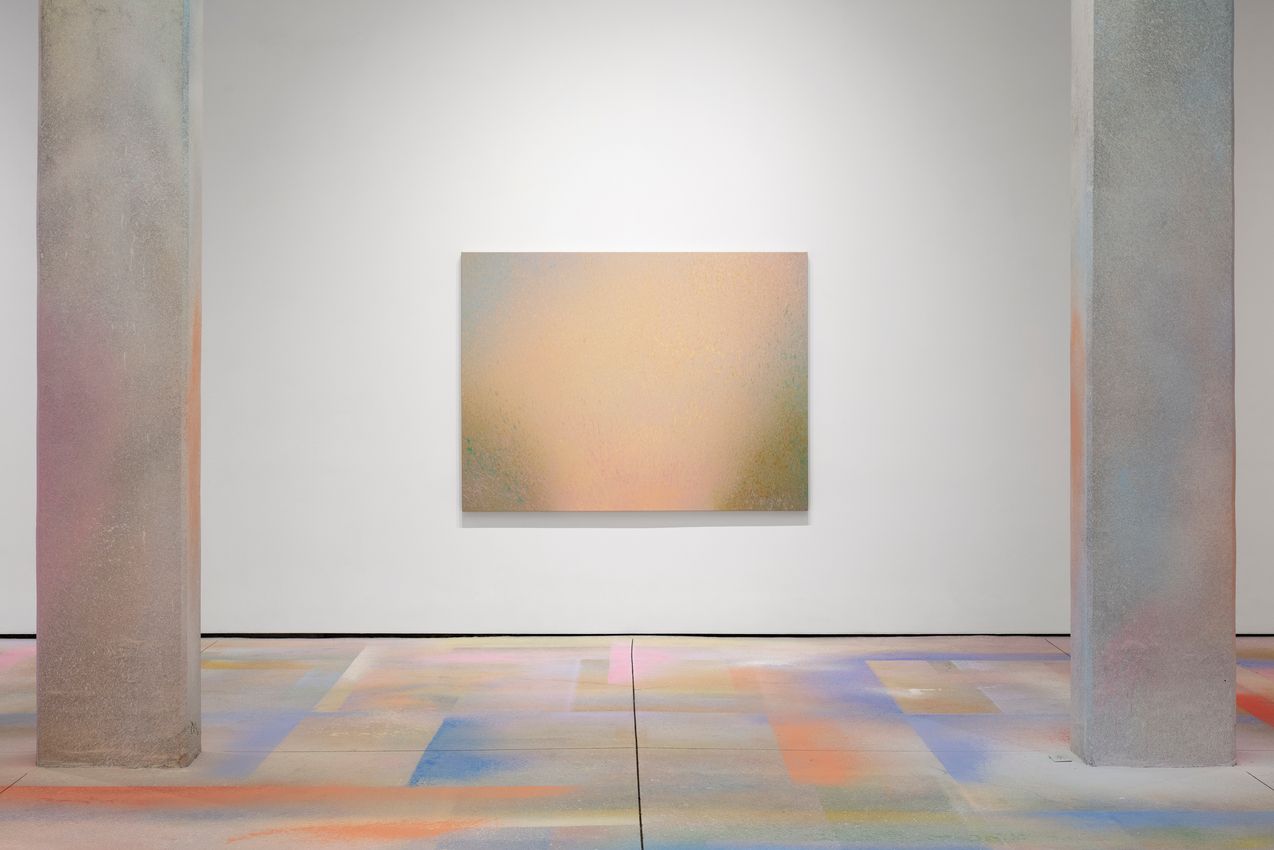 Ana Montiel Artworks | Ocula Artist