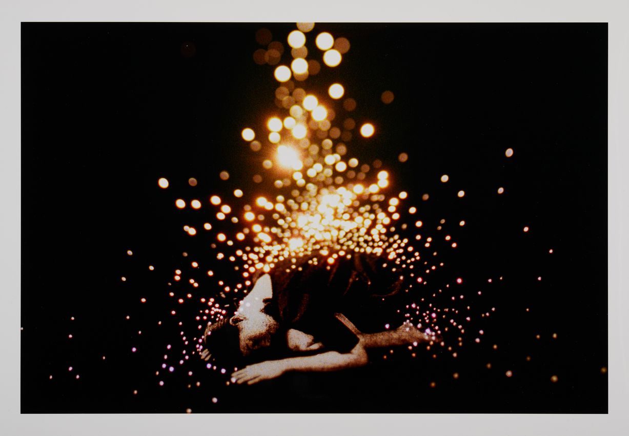 Lieko Shiga's Art For Sale, Exhibitions & Biography | Ocula Artist