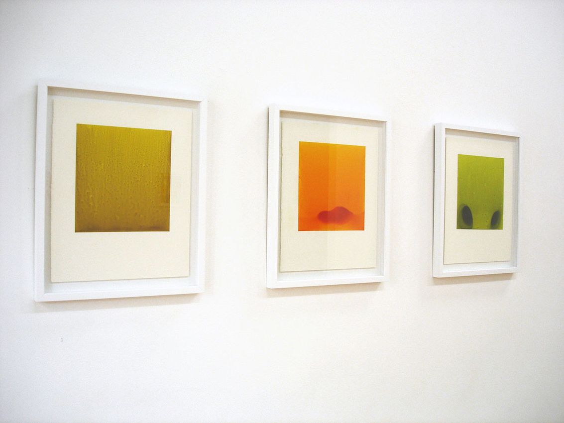 Leigh Martin's Art For Sale, Exhibitions & Biography | Ocula Artist