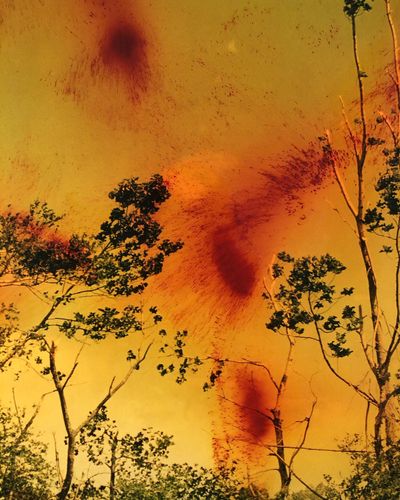 Wolfgang Tillmans Captures Candid Moments in MoMA Retrospective | Ocula