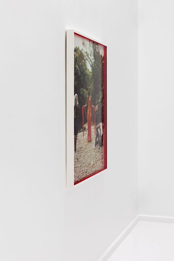 Camila Falquez's Art For Sale, Exhibitions & Biography | Ocula Artist