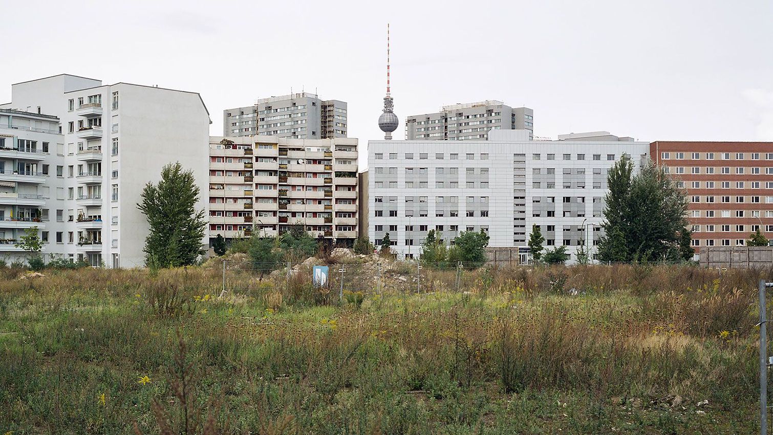 Thomas Meyer's Art For Sale, Exhibitions & Biography | Ocula Artist