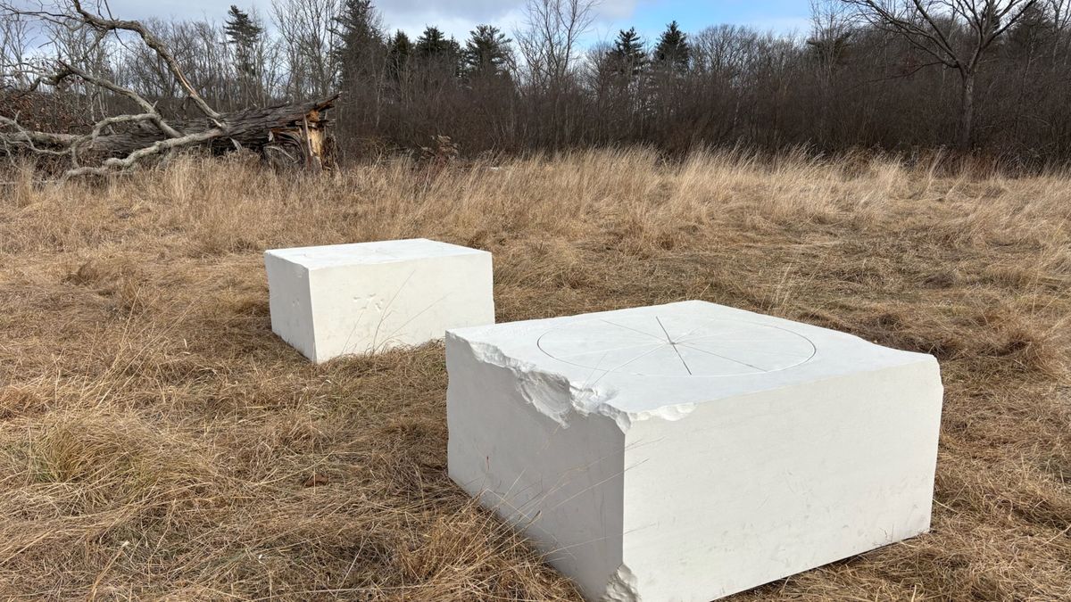 Sky High Farm Hosts Over 50 Artists Alongside Hudson River to Combat ...