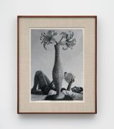 Lenz Geerk Artworks | Ocula Artist