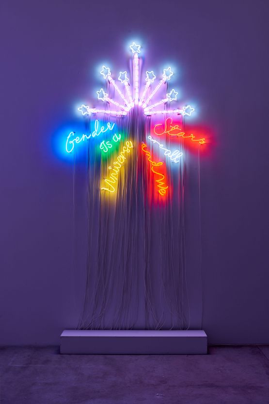 Gender is a Universe, 2023 by Andrea Bowers | Ocula