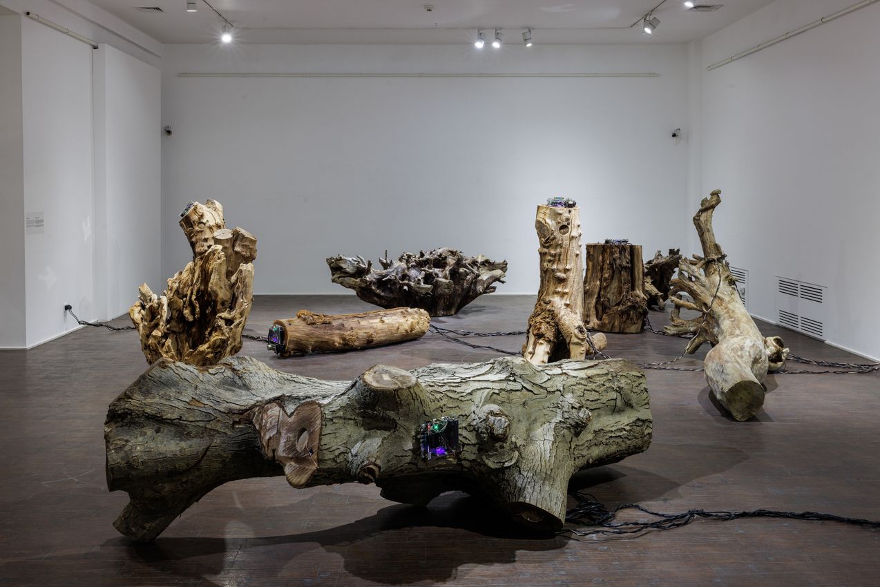 Elnara Nasirli's Art For Sale, Exhibitions & Biography | Ocula Artist