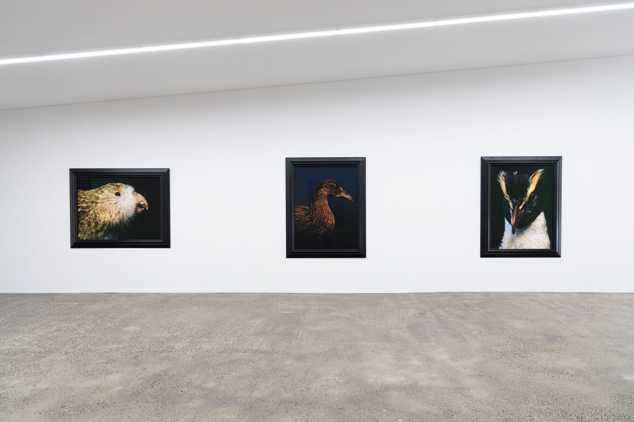 Fiona Pardington, 'Te taha o te rangi' at Starkwhite, Auckland, New ...