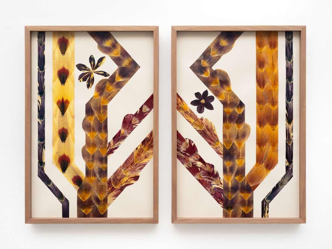 Jennifer Tee's Art For Sale, Exhibitions & Biography | Ocula Artist