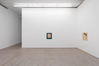 Matt Connors' Art For Sale, Exhibitions & Biography | Ocula Artist