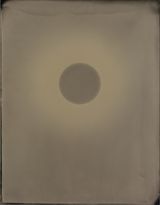 Ben Cauchi's Art For Sale, Exhibitions & Biography | Ocula Artist