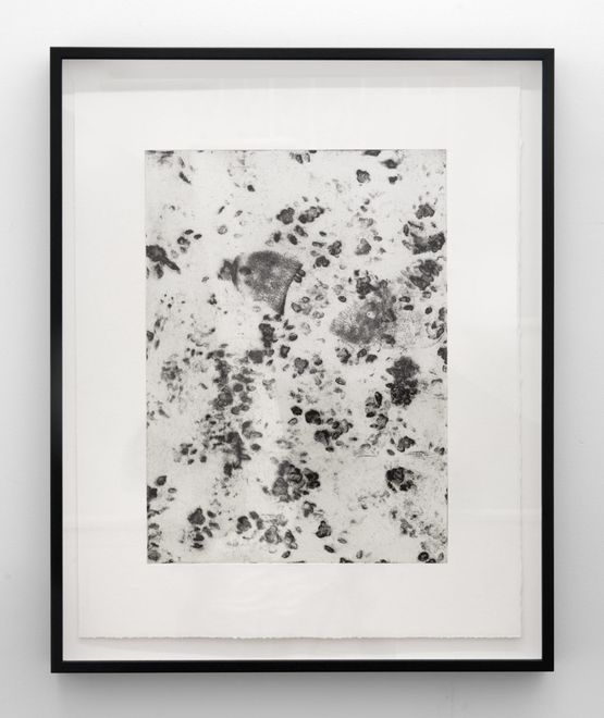 New Guy, Shadow, Carrots One and Carrots Two, 2018 by Kate Newby | Ocula