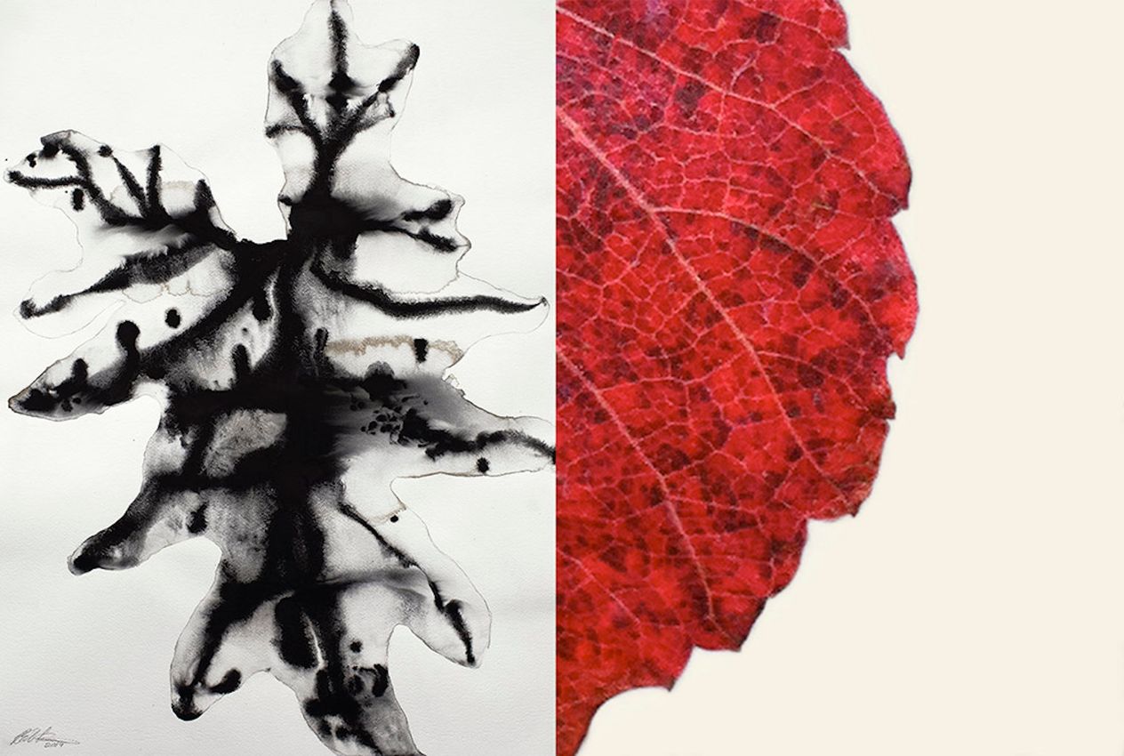 Barbara Edelstein's Art For Sale, Exhibitions & Biography | Ocula Artist