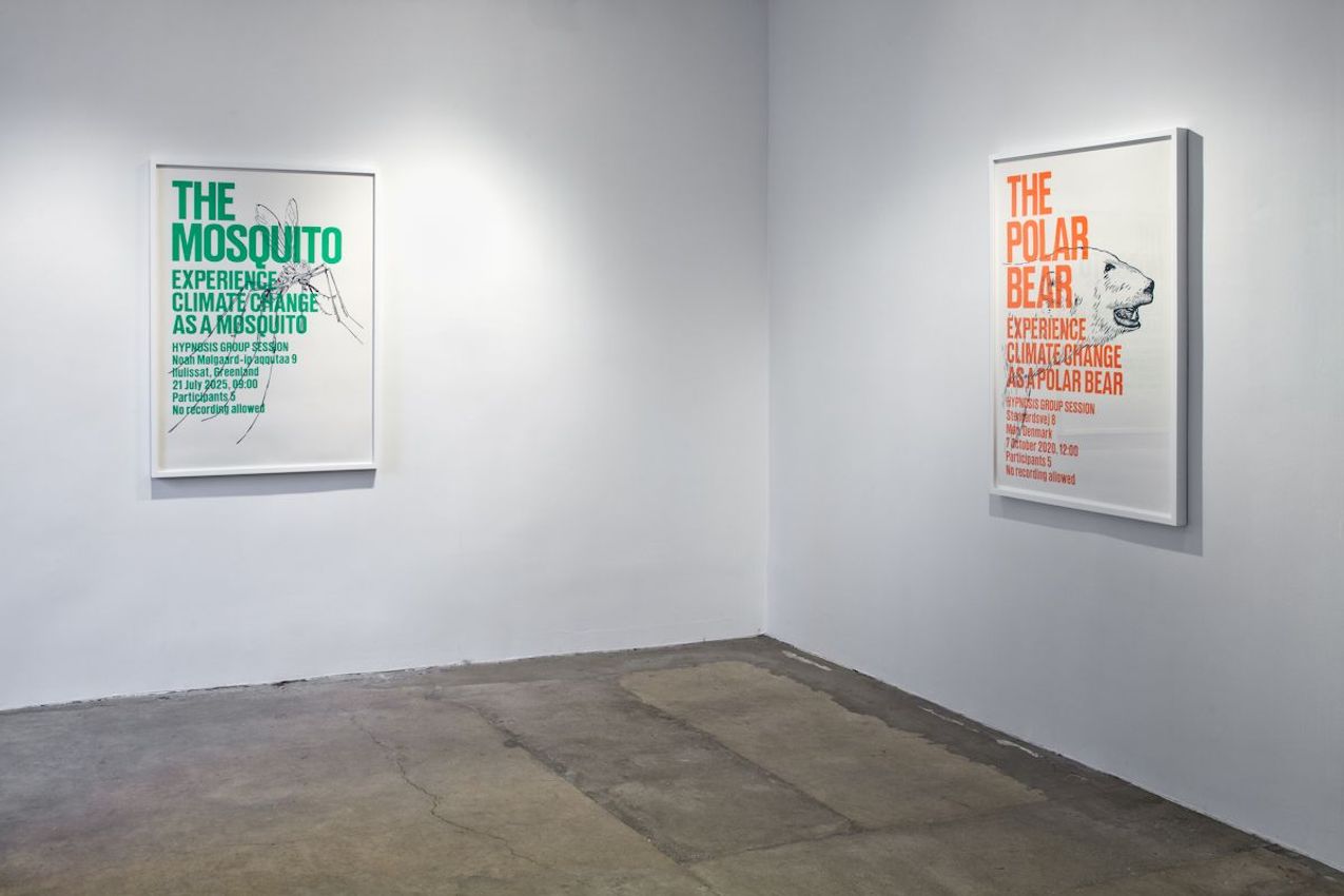 Superflex's Art For Sale, Exhibitions & Biography | Ocula Artist