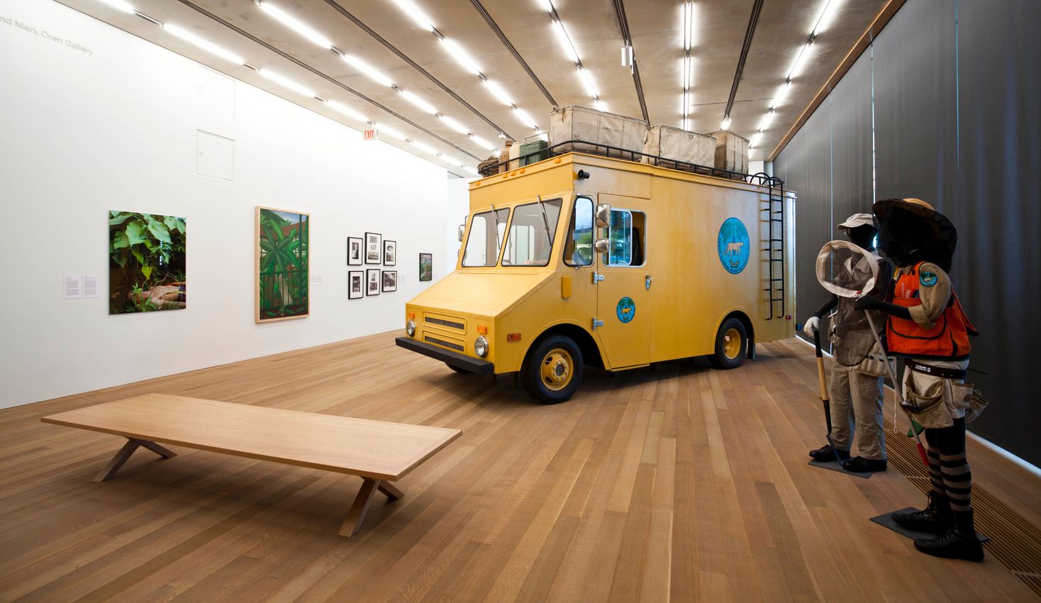 Mark Dion, 'The South Florida Wildlife Rescue Unit' at Pérez Art Museum ...